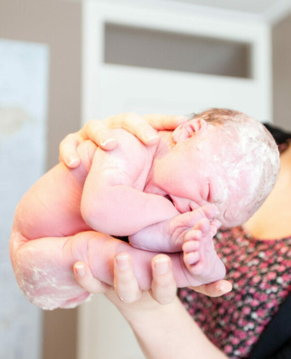 Fases van de bevalling - De Vaart Verloskundigen